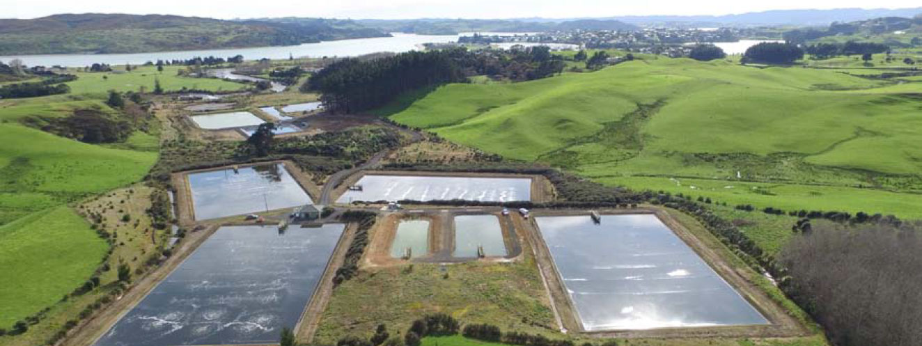 Tradewaste and Wastewater Early Engagement | Shape Waikato
