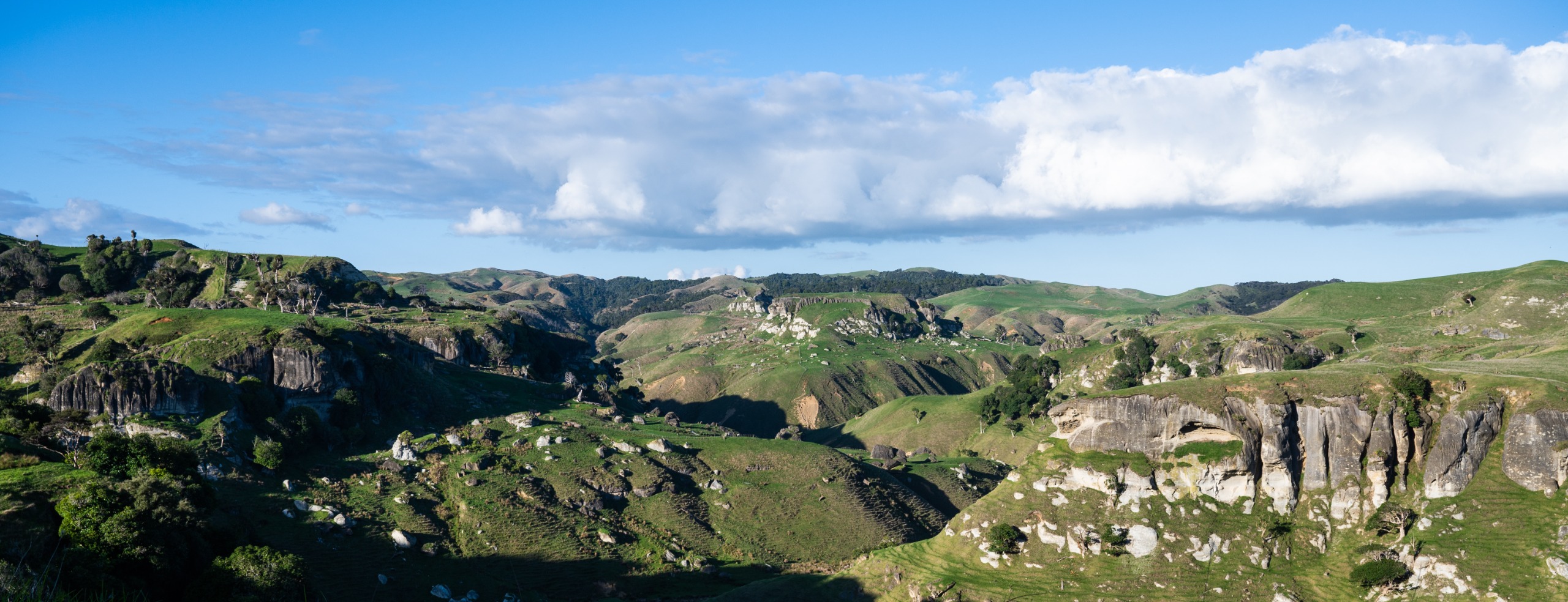 2025 Development Contributions | What matters for the future? | Shape ...